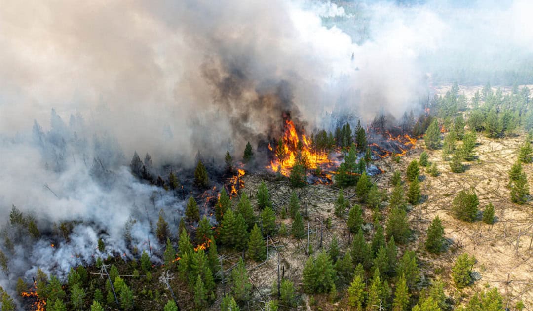 Are Arctic "Zombie" Fires New Normal? | Polar Journal