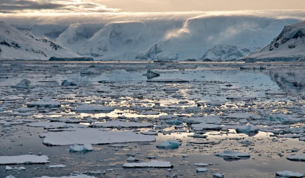 The Polar Retrospective - Chemical pollutants in Antarctica raise ...