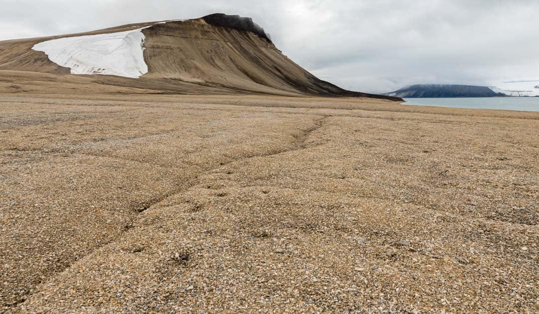 "Ice needles" responsible for frost patterns in soils | Polar Journal