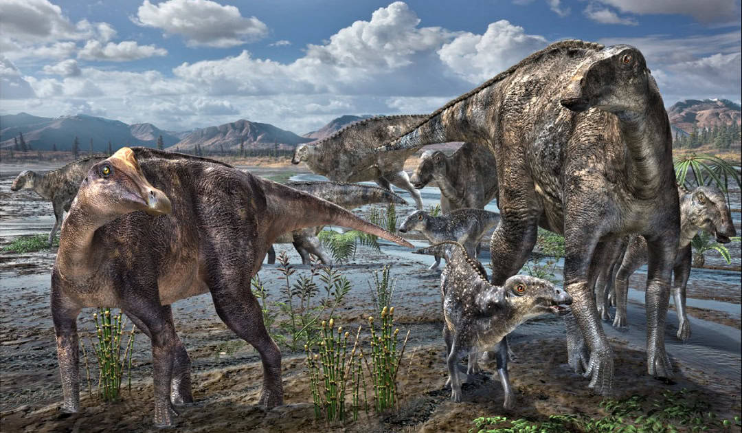 Precipitation influenced distribution of Arctic dinosaurs | Polar Journal