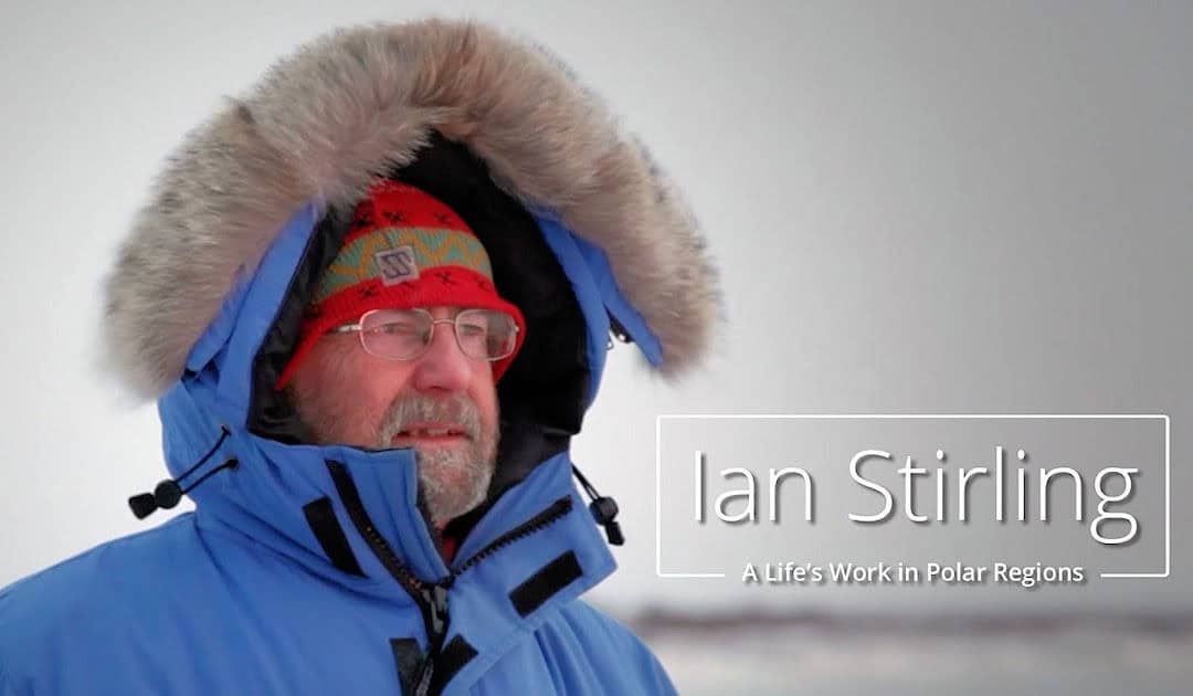 The polar retrospective - Polar bear researcher Ian Stirling dies at 82 ...